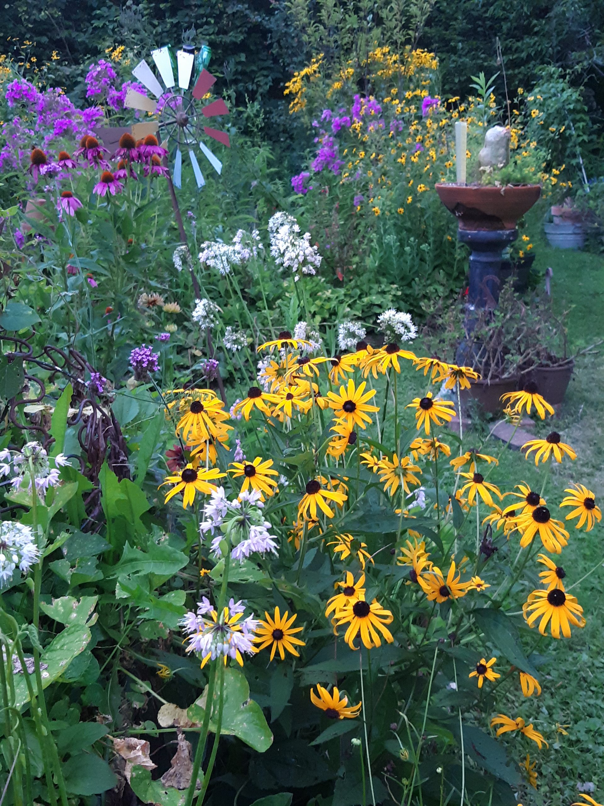 Plant a Little Prairie: How to Grow a Microprairie in Your Yard | Clifftop